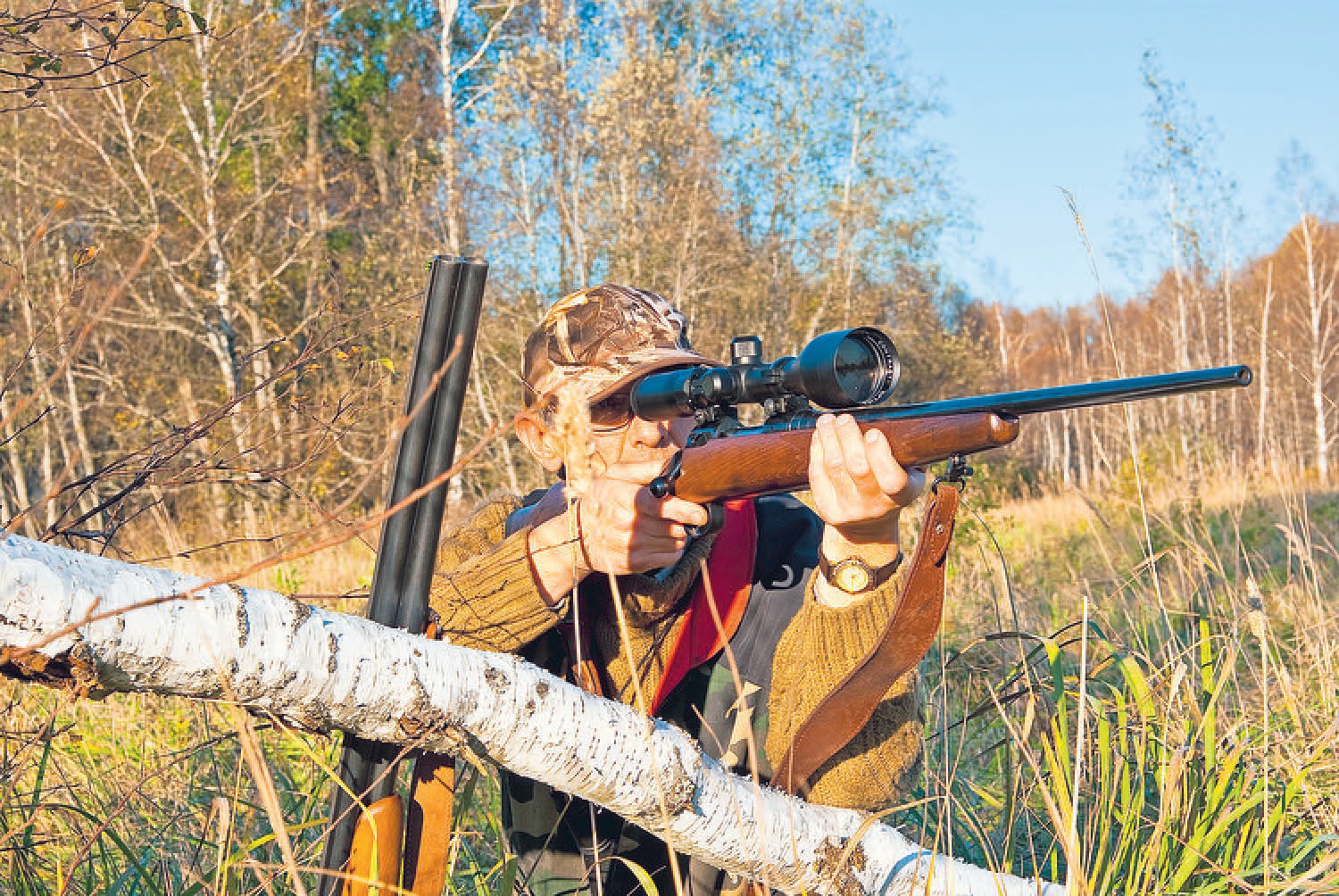Une saison de chasse inégale en Haute-Mauricie - L’Écho de la Tuque